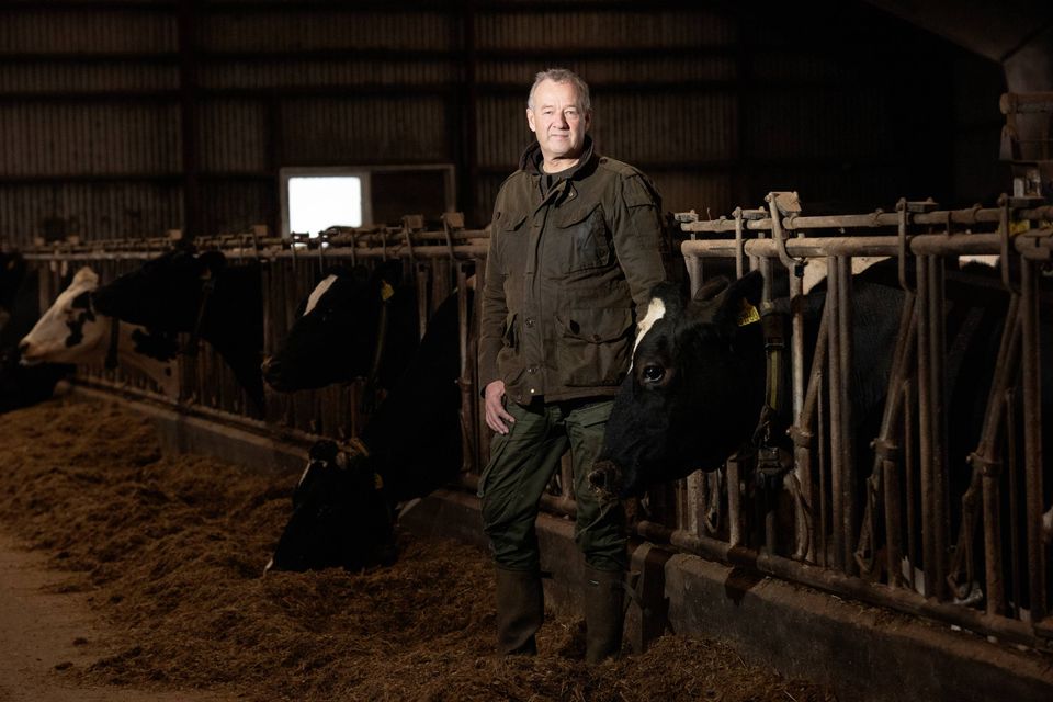 DLG vil »se fremad« i kølvandet på massiv kritik fra baglandet - Finans