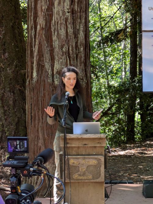 Vil du på Bluesky? Derfor er et åbent alternativ til X blevet et hit