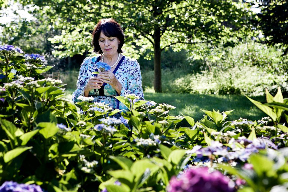 Nina Rasmussen skriver om sit livs mange eventyr i Mørke - Finans